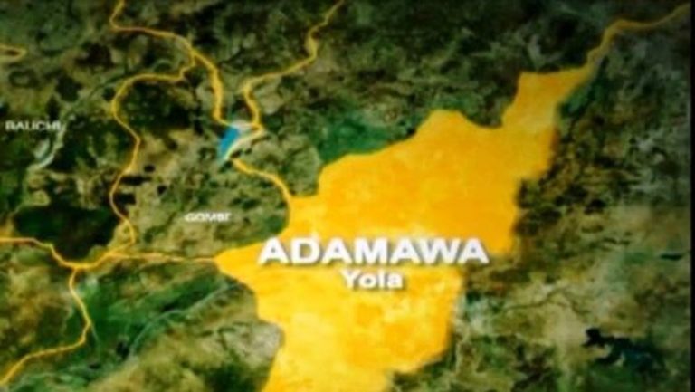 Adamawa LG Poll: ADSEIC Commences Distribution of Sensitive Election ...