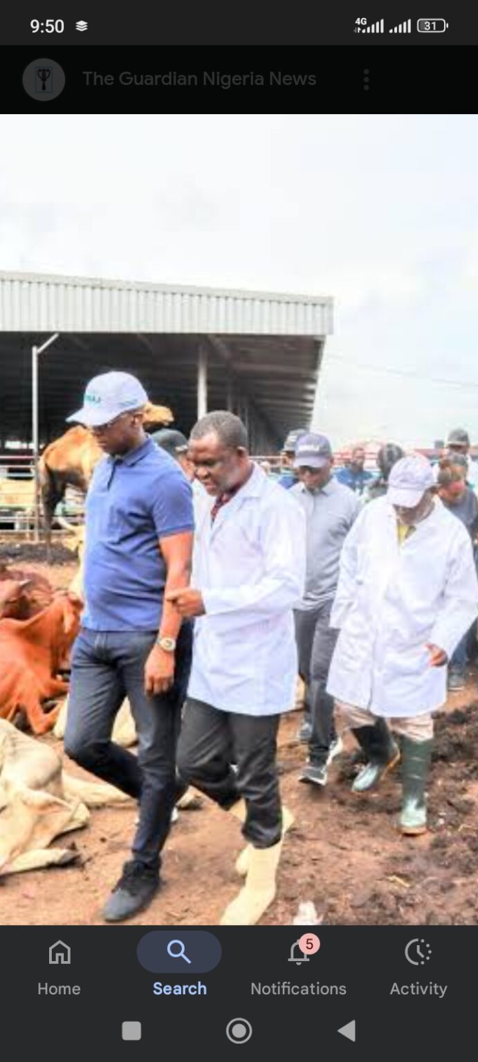 Lagos Reopens Oko Oba Abbattoir After Operators Compliance - Trending News