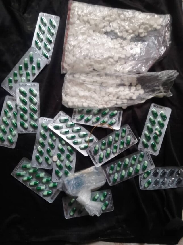 Police Bust Drug Cartels In Jigawa, Arrest 13, Recover Illicit Substances