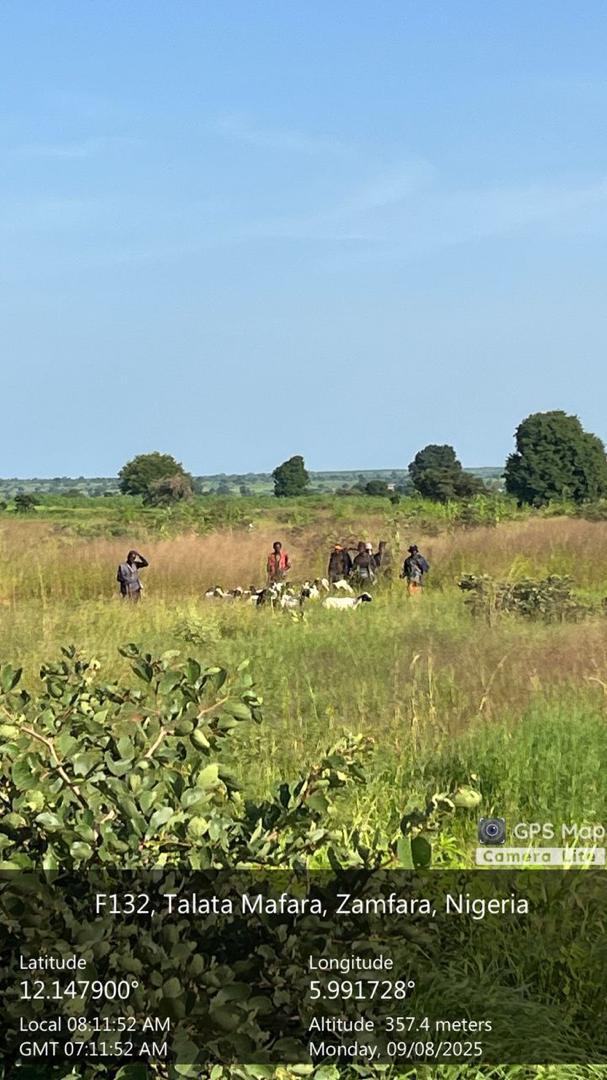 Military Recovers ₦23m, Rescues Victims In North-West - Trending News