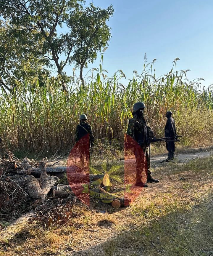Lawmaker Calls For Recruitment of Trained, Armed Youth As Forest Guards ...