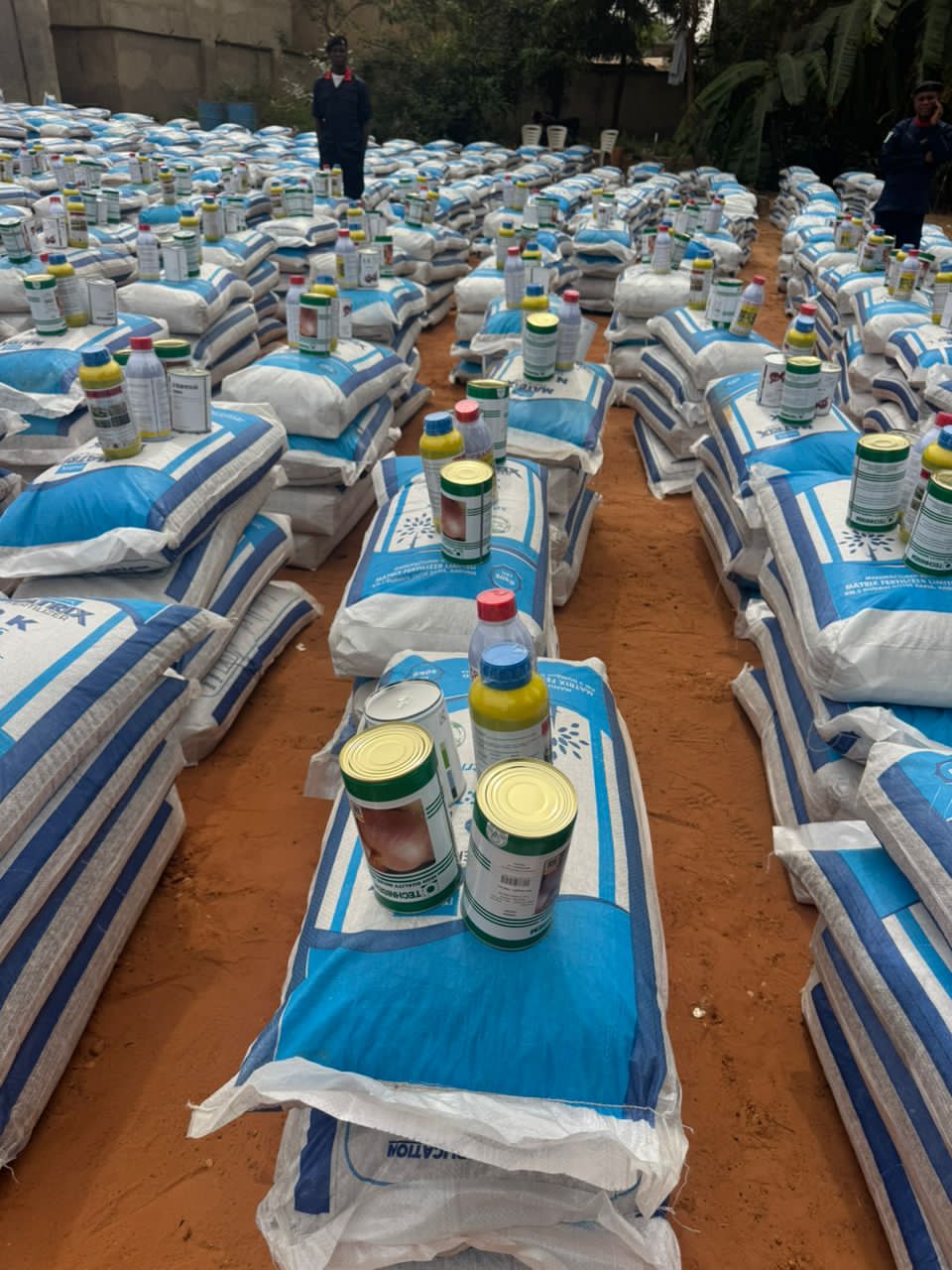 Flood-Hit Onion Farmers Get Lifeline as FG Launches NADF Intervention ...