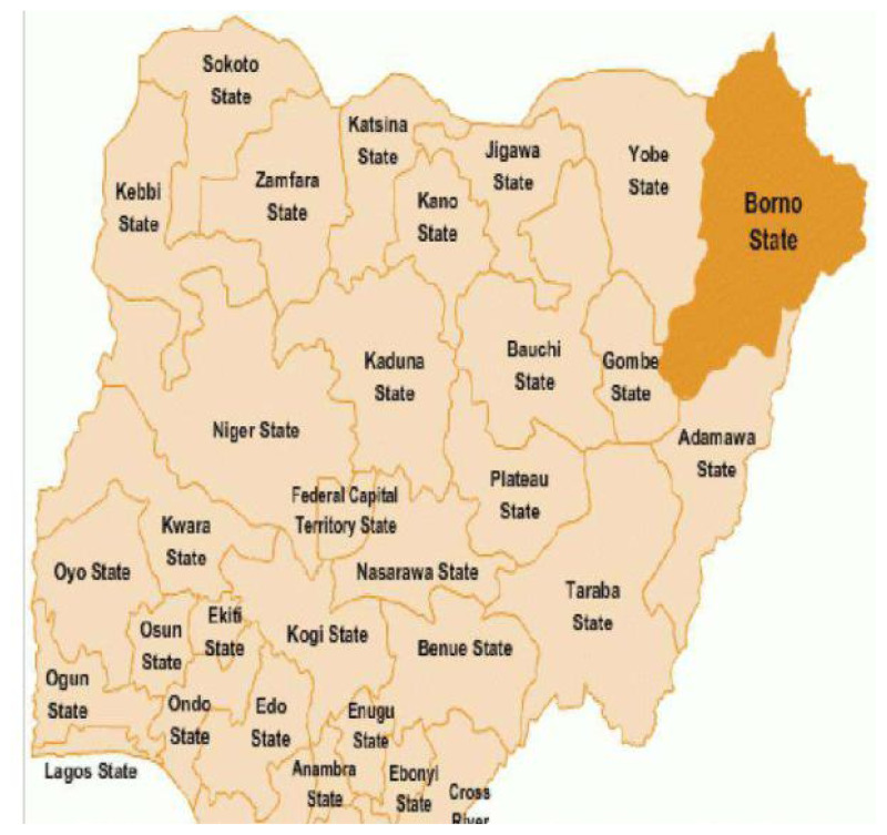 Scores Killed As Boko Haram, ISWAP Clash In Sambisa, Mandara Mountains