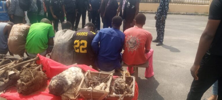 Imo: Police Arrest Five Suspects, Recover Bodies Buried In Shallow ...